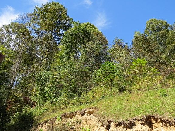 866 Chissom Rd, Jeremiah, KY 41826 | MLS #118404 | Zillow