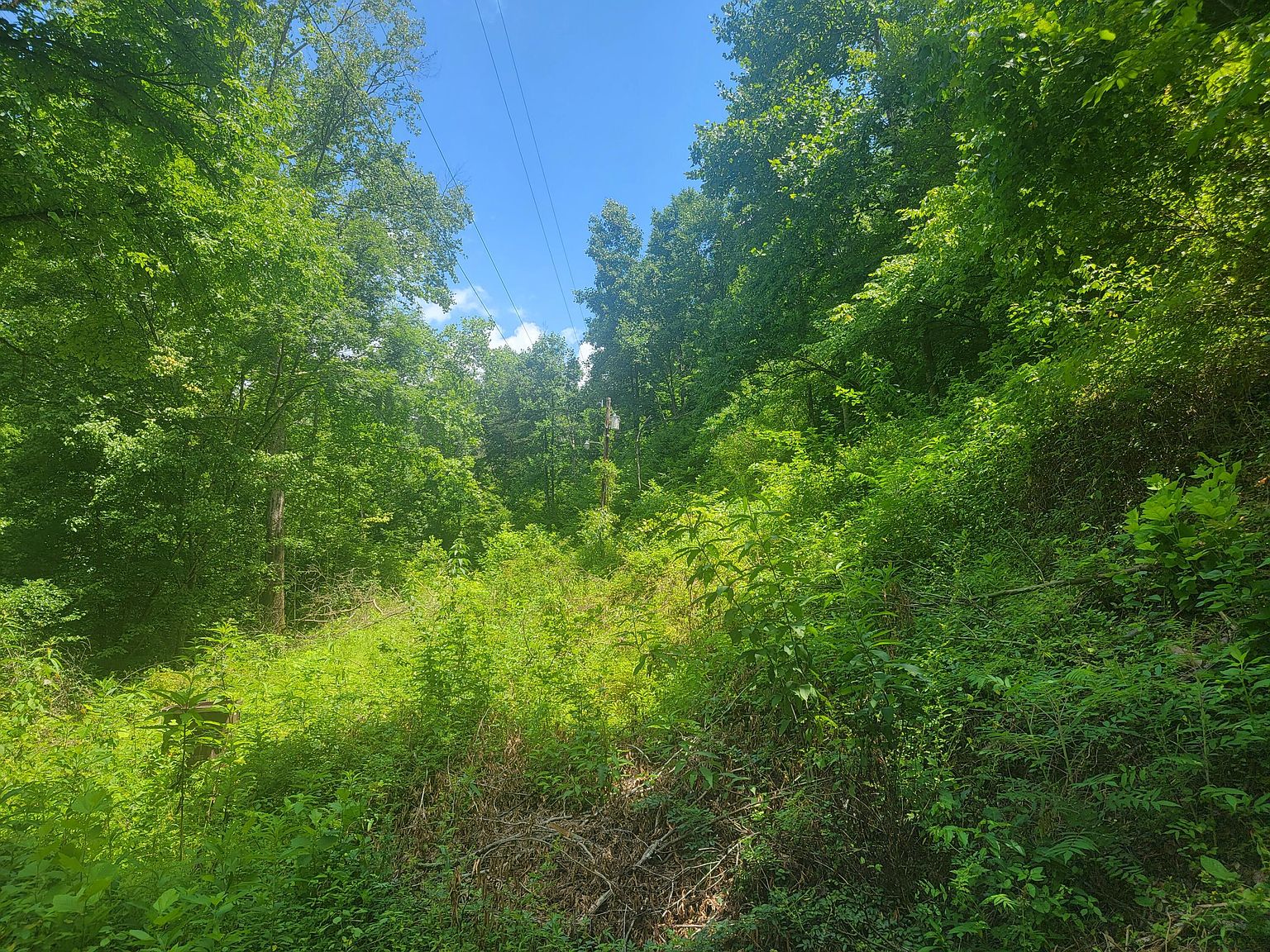 672 Buffalo Rd, Meally, KY 41234 | Zillow