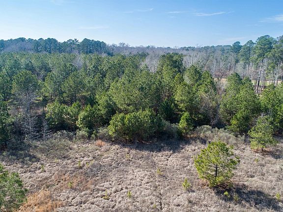 Private Road 1332, Elysian Fields, TX 75642 | MLS #20251024 | Zillow