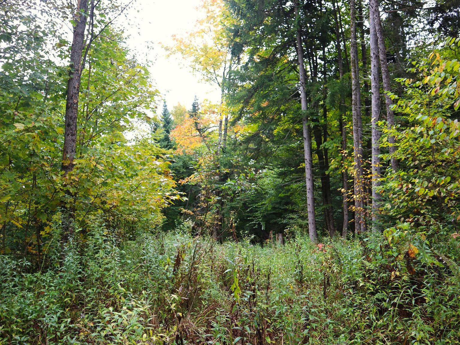 0 Sears Rd, Ellenburg Center, NY 12934 | Zillow