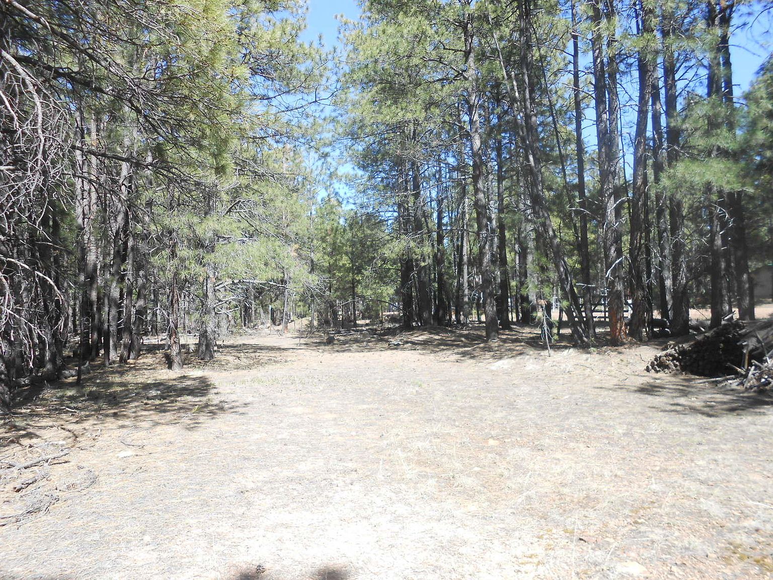 2857 Larson Loop, Forest Lakes, AZ 85931 | Zillow