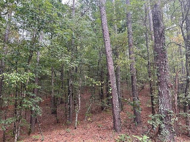 0 Highway 404 W, Duck Hill, MS 38925 | MLS #11339391 | Zillow
