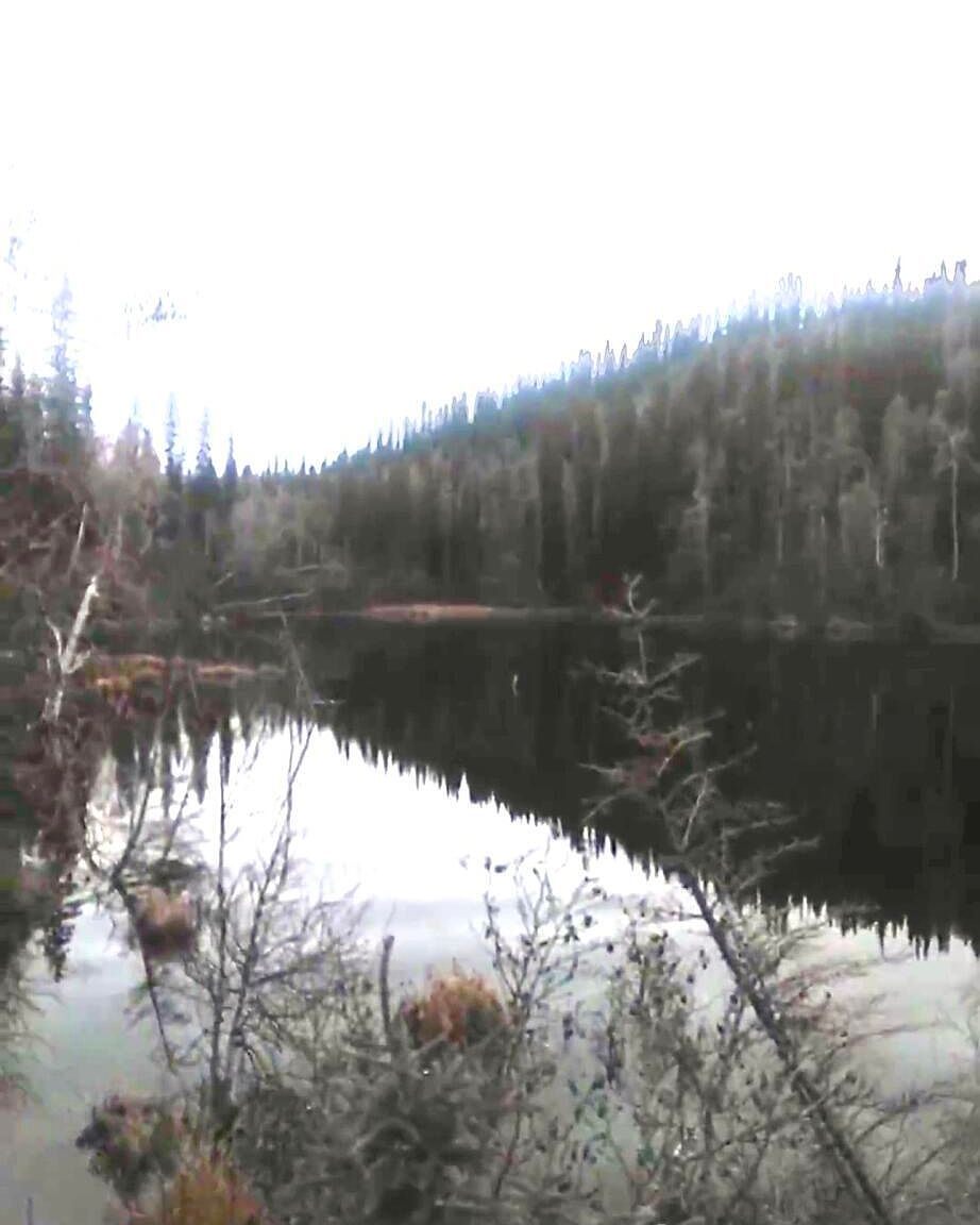 Nhn Sled Rd, Anderson, AK 99744 | Zillow