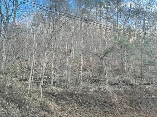 David KY Real Estate - David KY Homes For Sale | Zillow