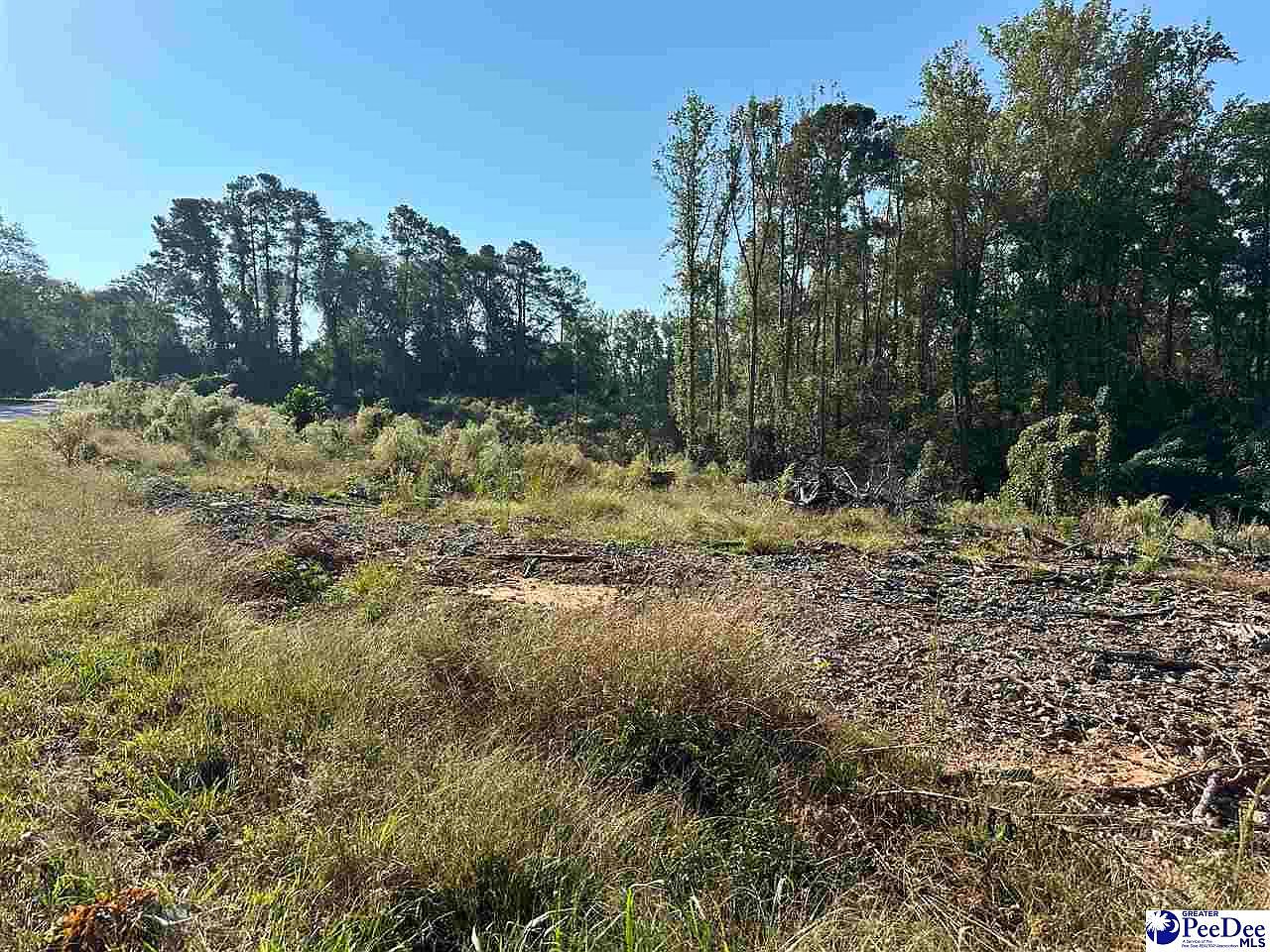 LOT 6 Trotti Ave, Chesterfield, SC 29709 | MLS #20243844 | Zillow