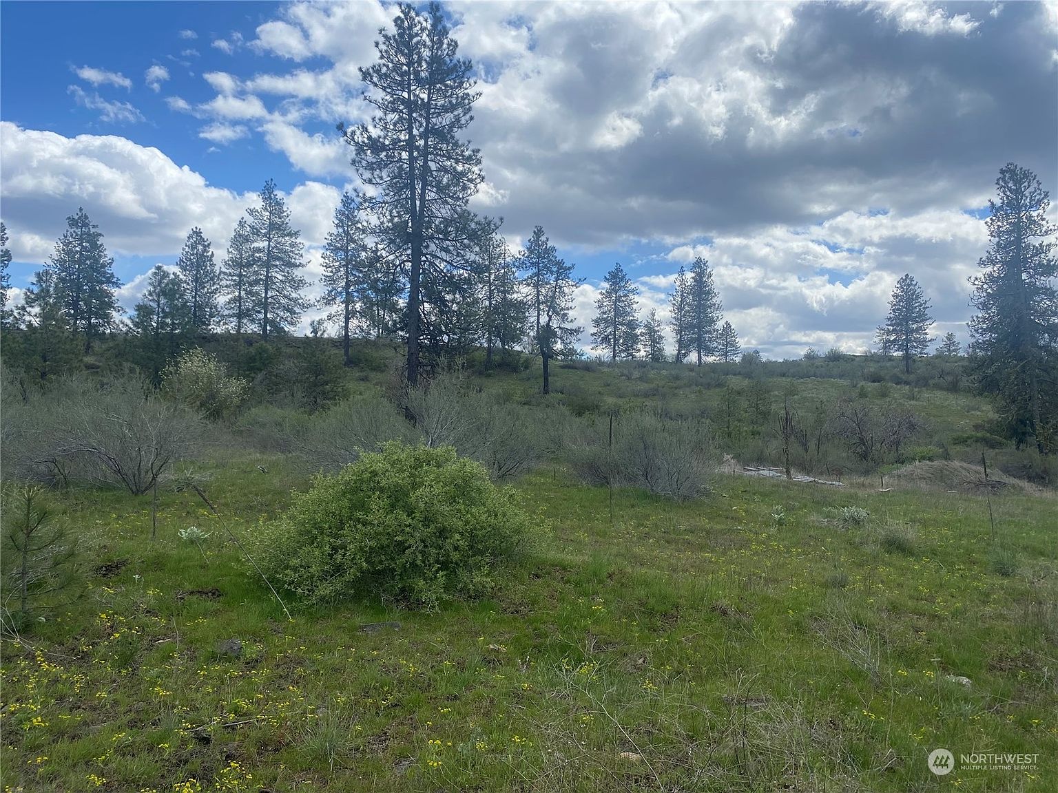 27200 Underwood Canyon, Creston, WA 99117 | Zillow