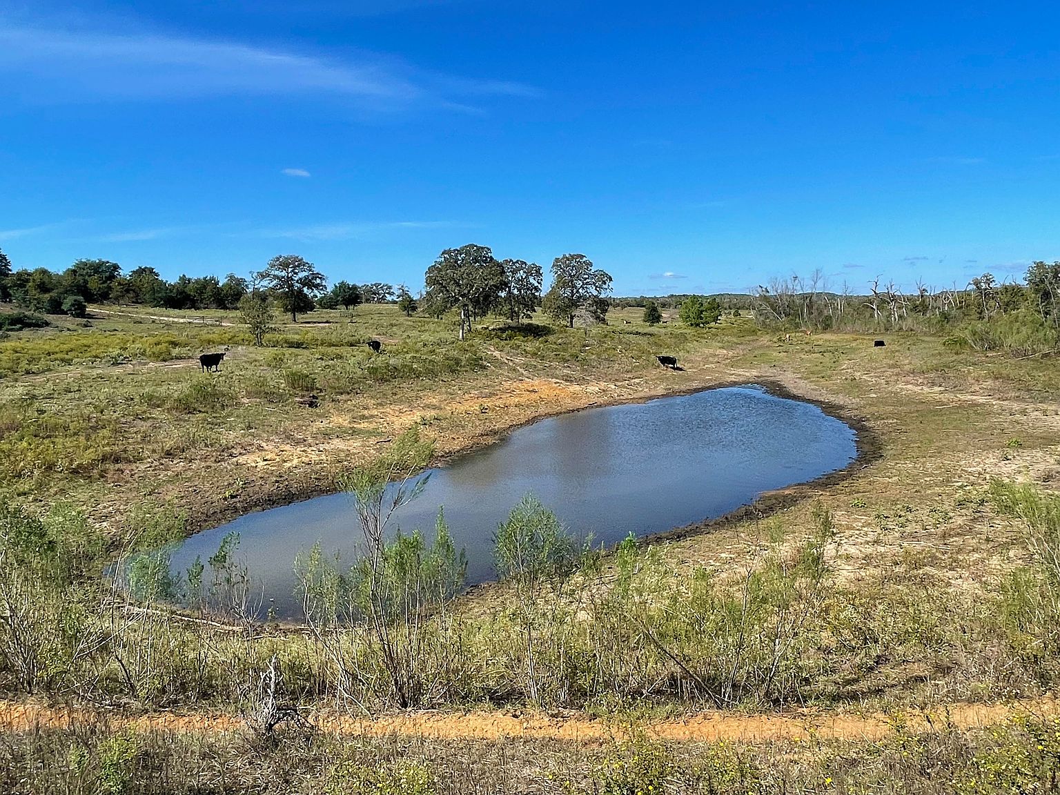 200/- Acres Cullen Akaushi Ranch Caldwell Country #2052, Rosanky, TX ...