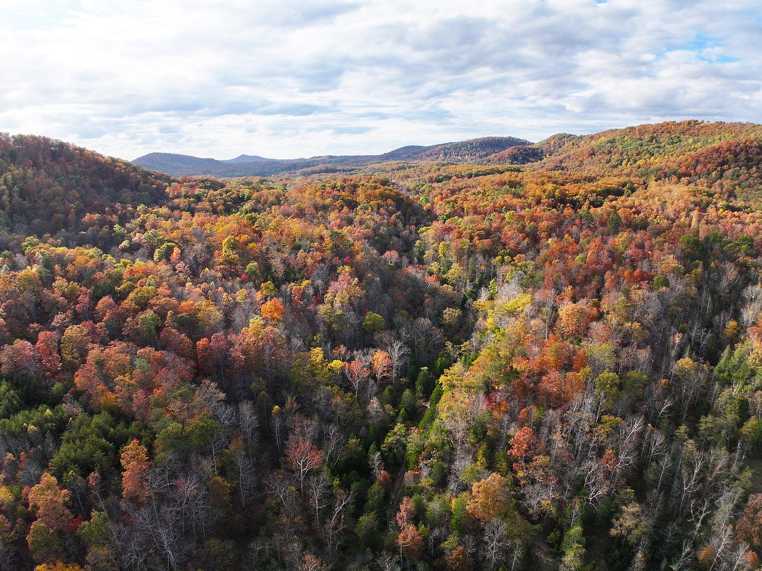 1721.5 Red Lick Rd, Richmond, KY 40475 | MLS #24004631 | Zillow