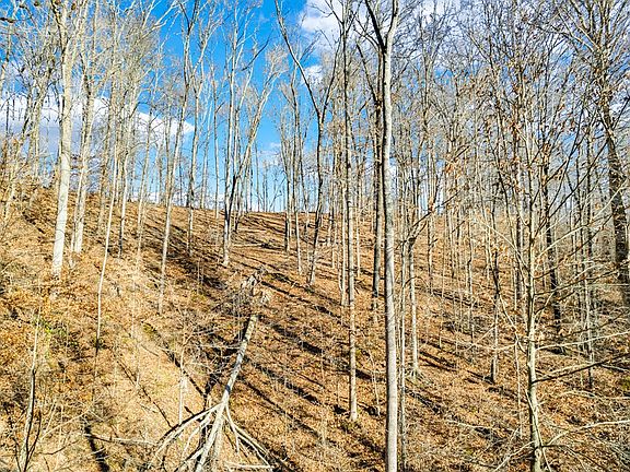 LOT 3 Sunset Point, Sparta, TN 38583 | Zillow
