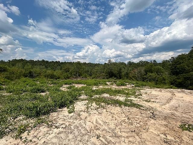 Jimmy Ramey Rd, Waynesboro, MS 39367 | MLS #33753 | Zillow