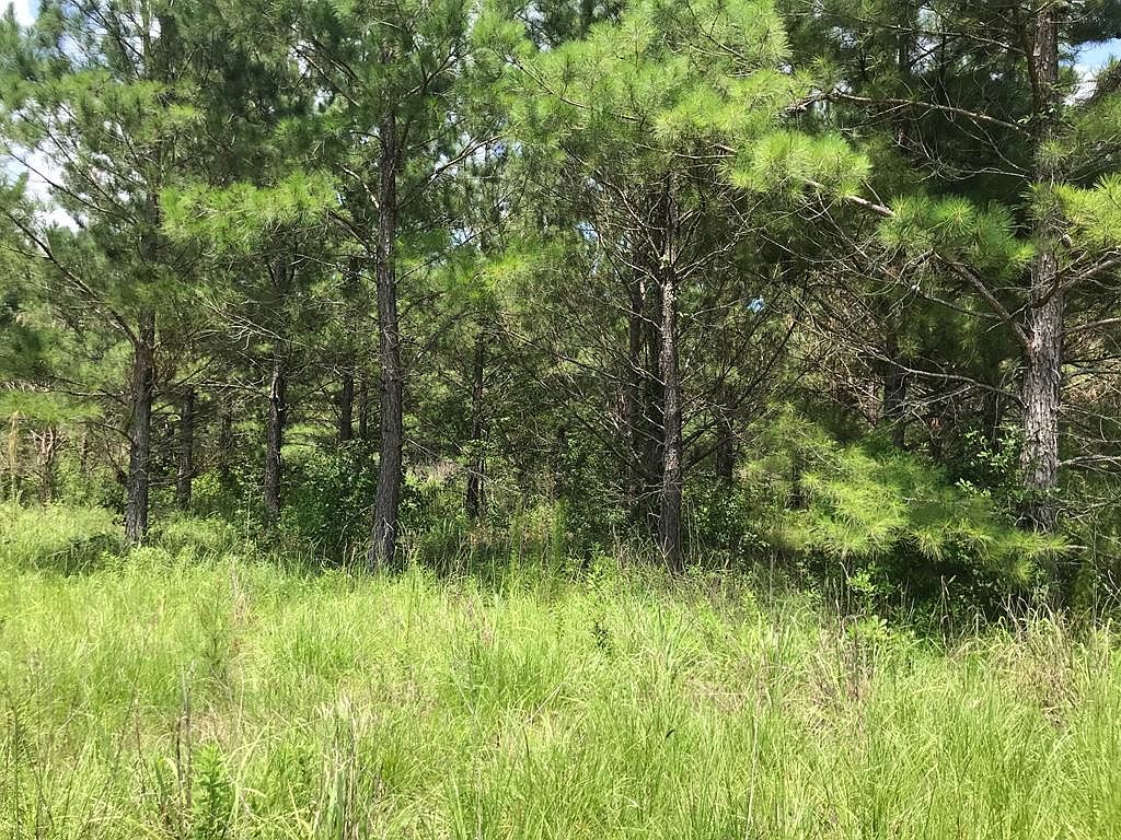 0 Providence Rd, Whigham, GA 39897 | Zillow