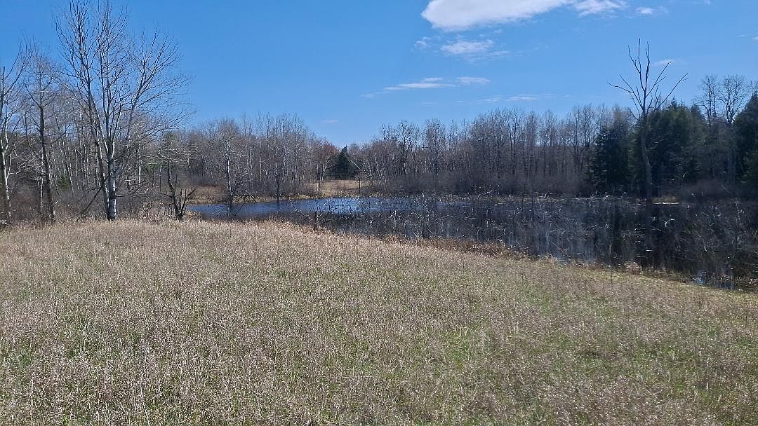 6691 Six Mile Rd, Evart, MI 49631 | Zillow