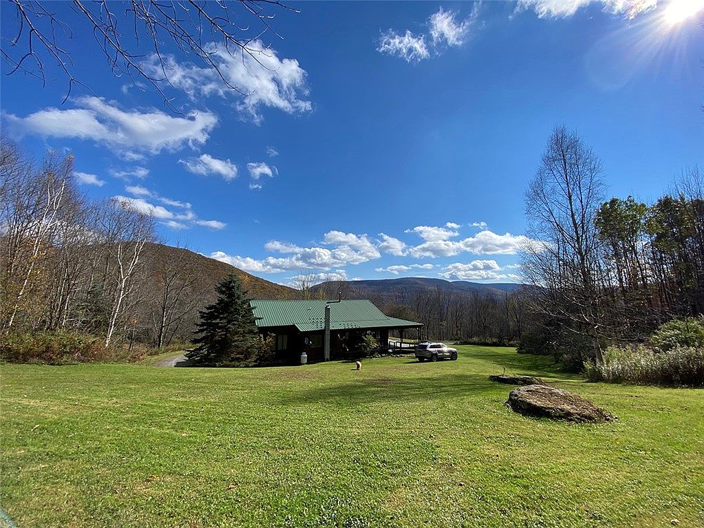 1673 Macmore Rd, Roxbury, NY 12474 | Zillow