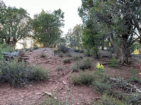 6745 Cheney Ranch Loop, Show Low, AZ 85901 | Zillow