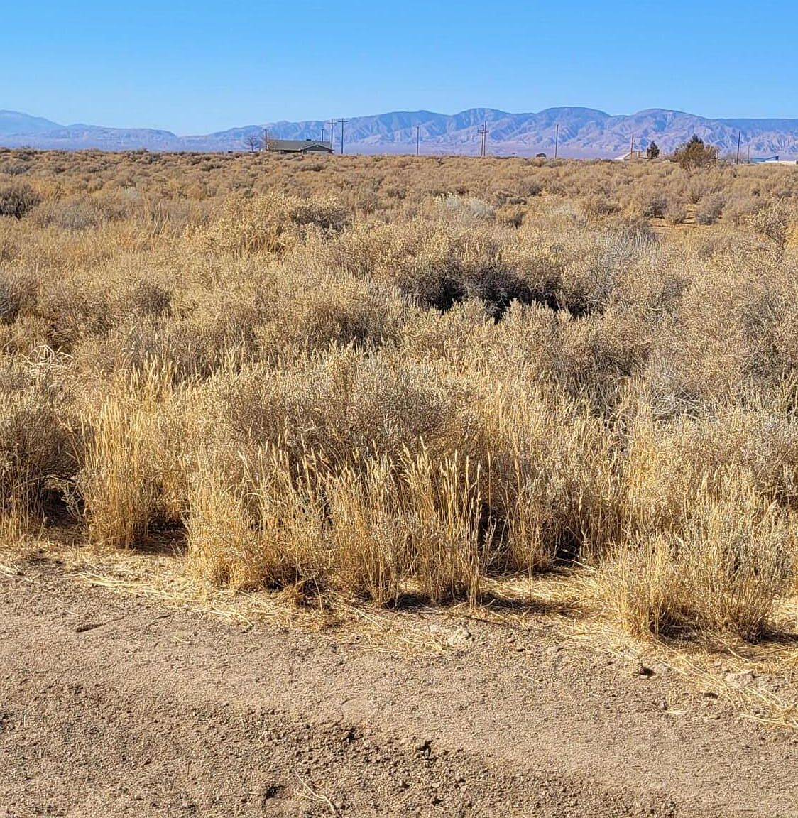 Hanover Dr, California City, CA 93505 | MLS #25000249 | Zillow