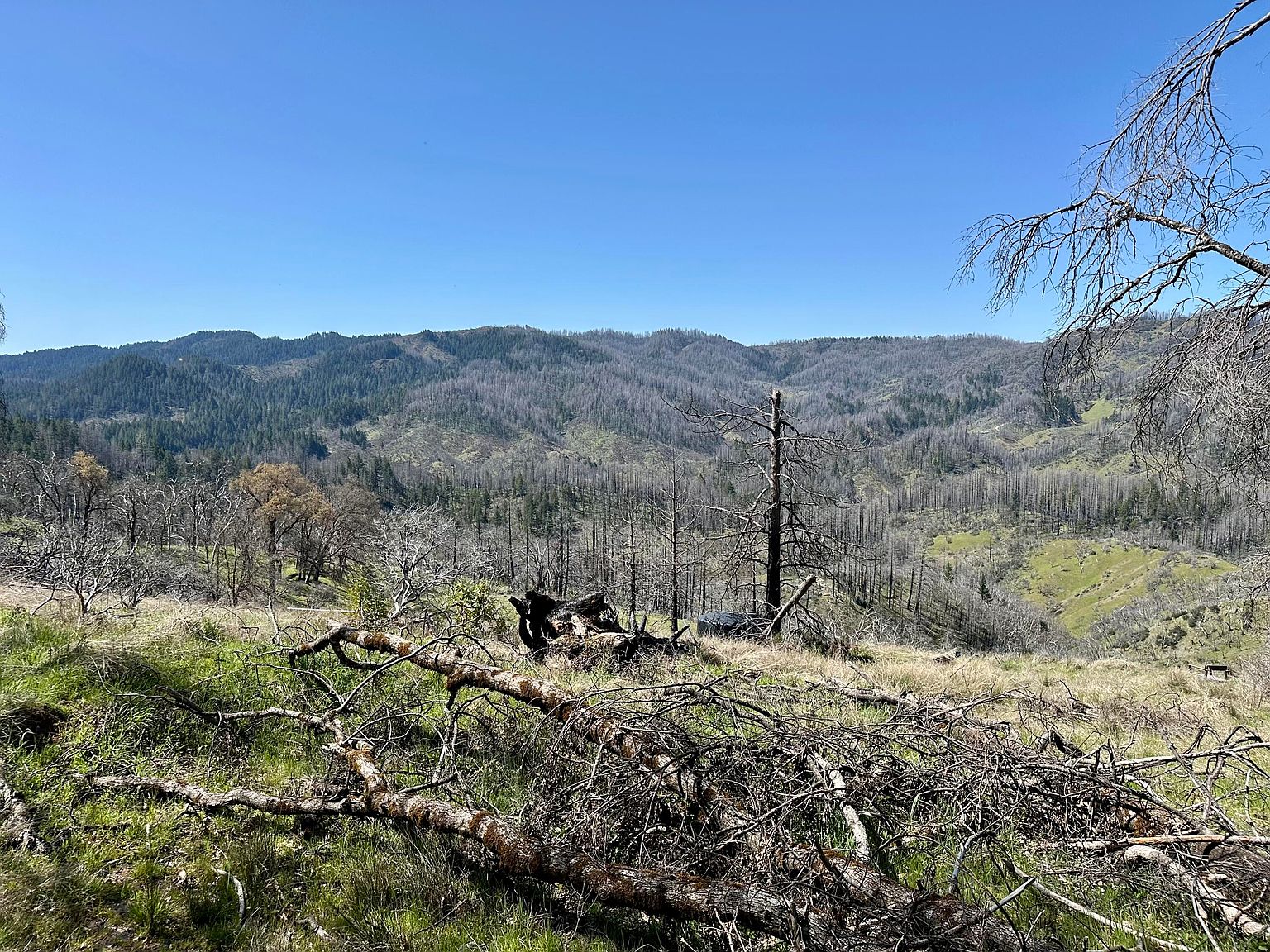 10790 Long Ridge Rd, Zenia, CA 95595 | MLS #269323 | Zillow