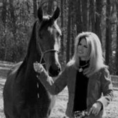 Angela K Yarbrough - Real Estate Agent in Dallas, TX - Reviews | Zillow