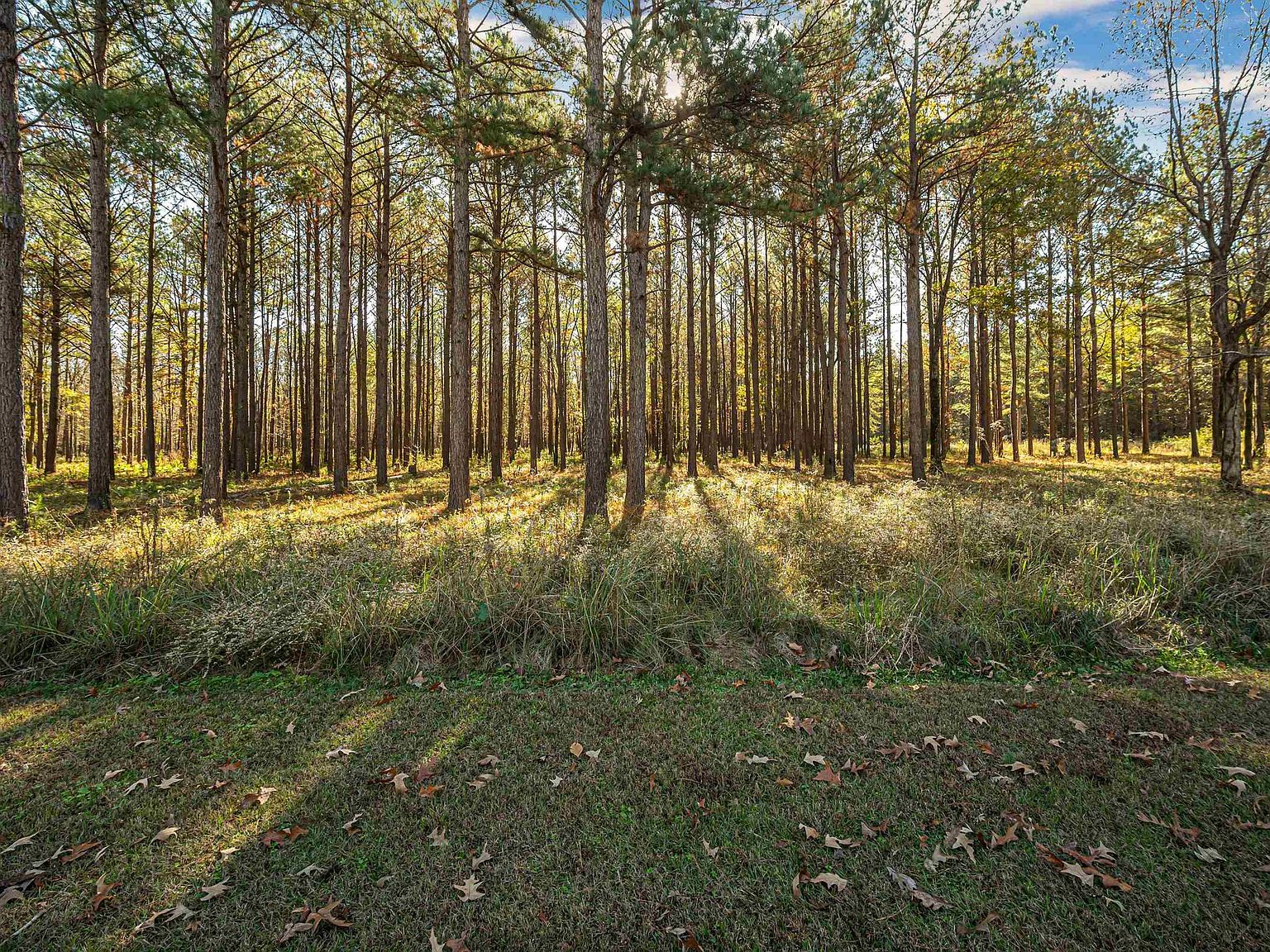 152 Cypress Point Dr #2, Akron, AL 35441 | Zillow