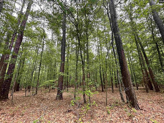 Bull Swamp, North, SC 29112 | Zillow