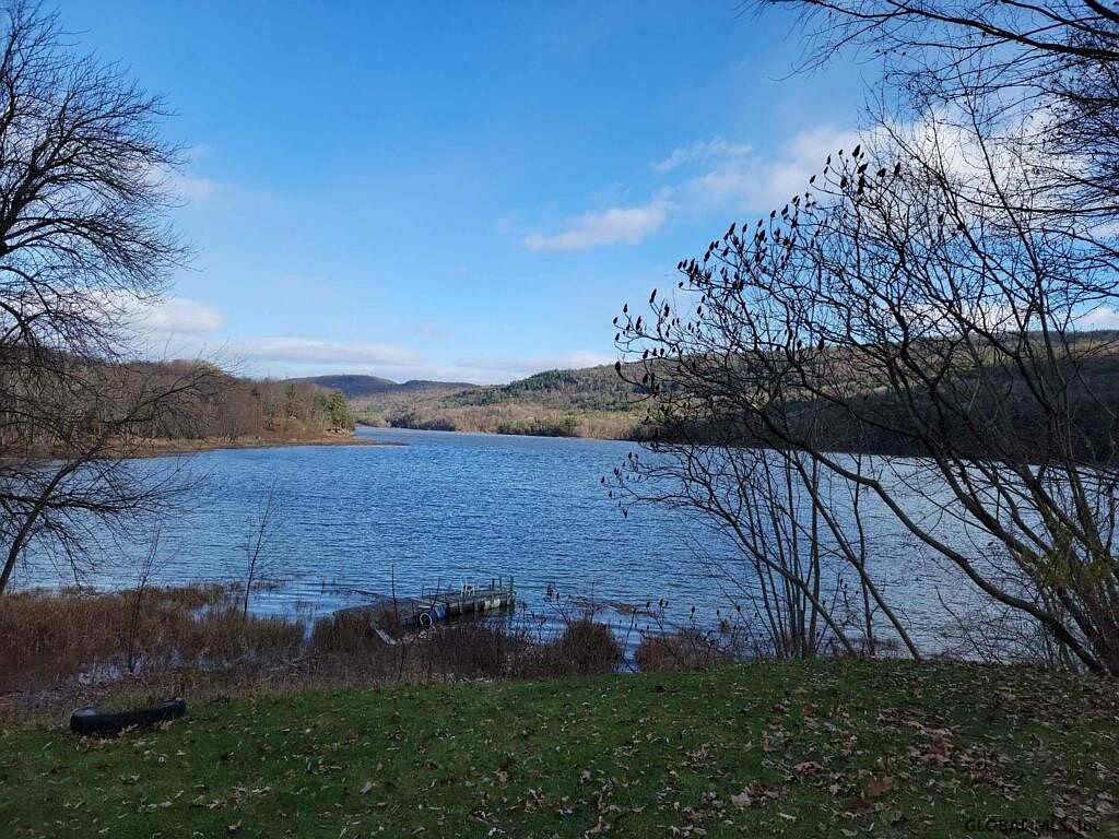 221 S Bay Road, Clemons, NY 12819 | Zillow