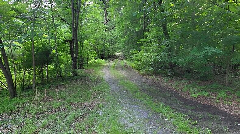 3028 Riley Hollow Rd, Cadiz, KY 42211 | Zillow