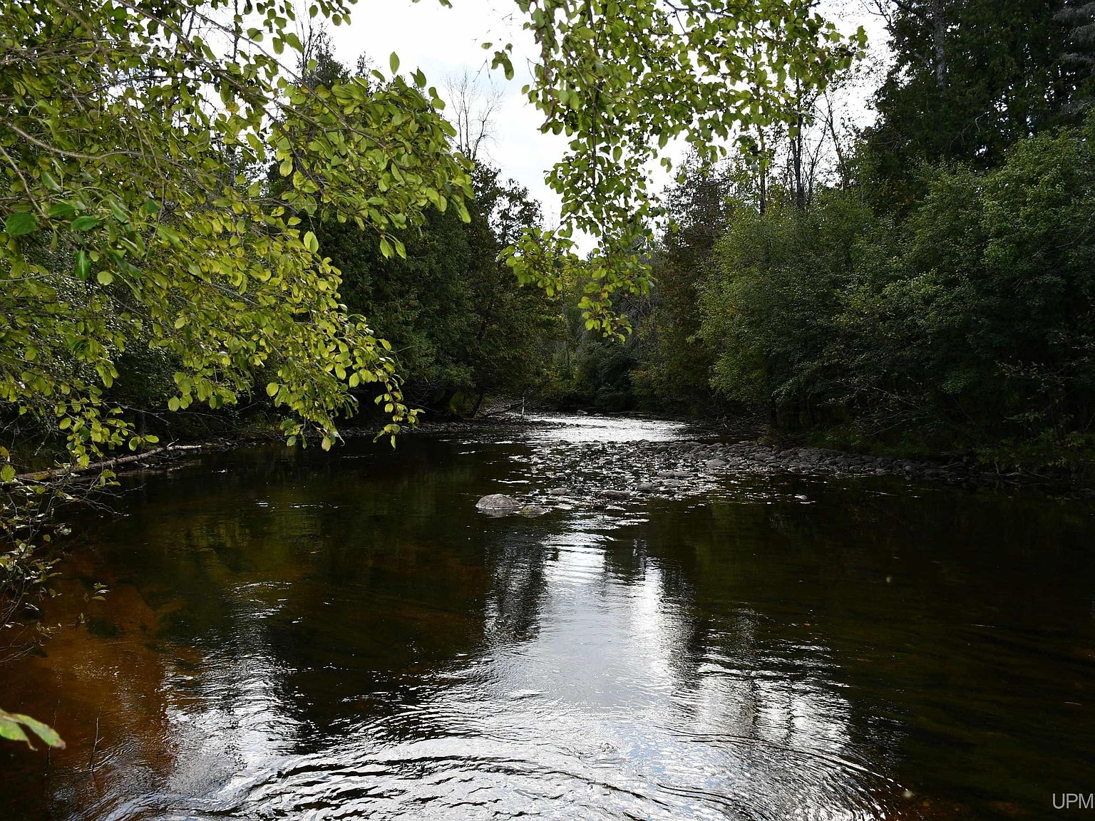 LOT 14 W Northwoods Ln, Foster City, MI 49834 | Zillow