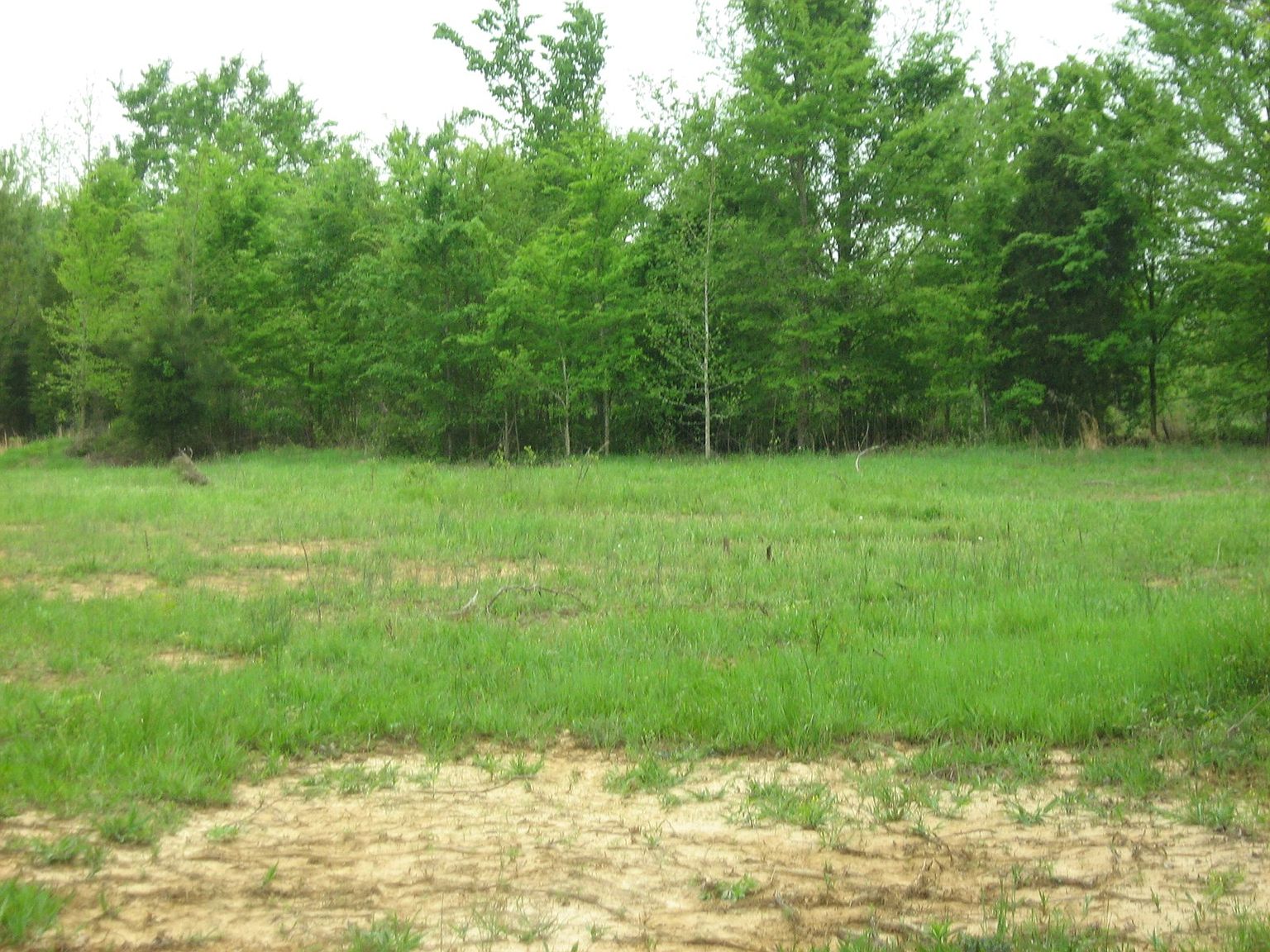 214 Ruby Dr, Holladay, TN 38341 | Zillow