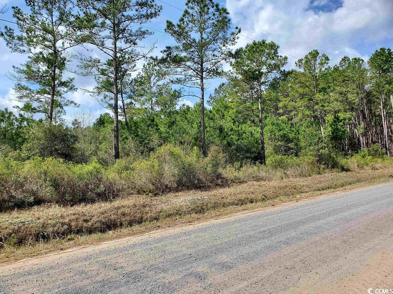 218 Samworth Loop, Georgetown, SC 29440 | Zillow