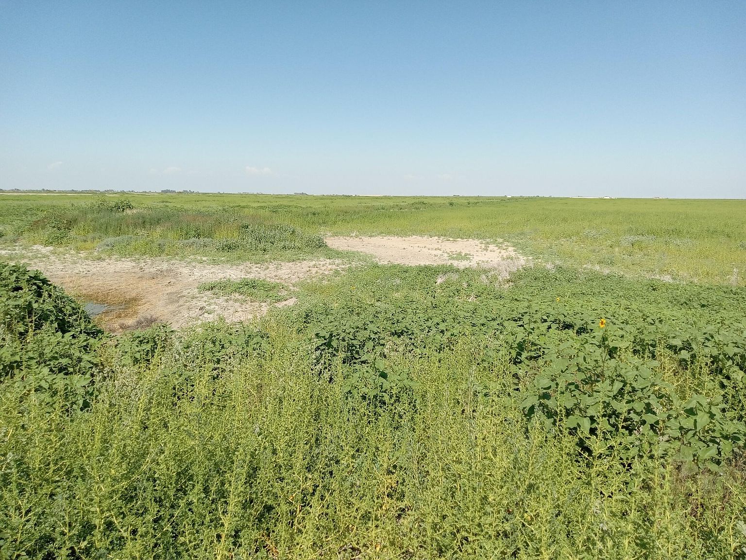 Ave 28, Alpaugh, CA 93201 | MLS #225074 | Zillow