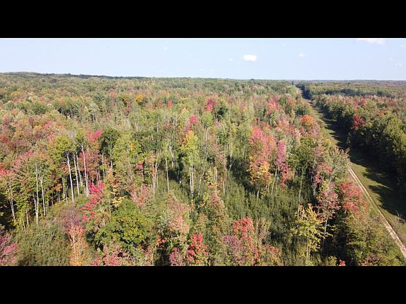 12 Hemlock St, Lake, MI 48632 | MLS #23135676 | Zillow