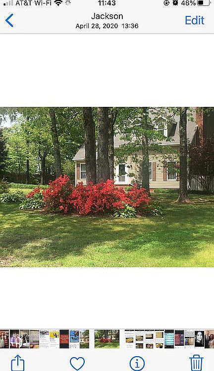 21 Hampstead Cv, Jackson, TN 38305 | Zillow