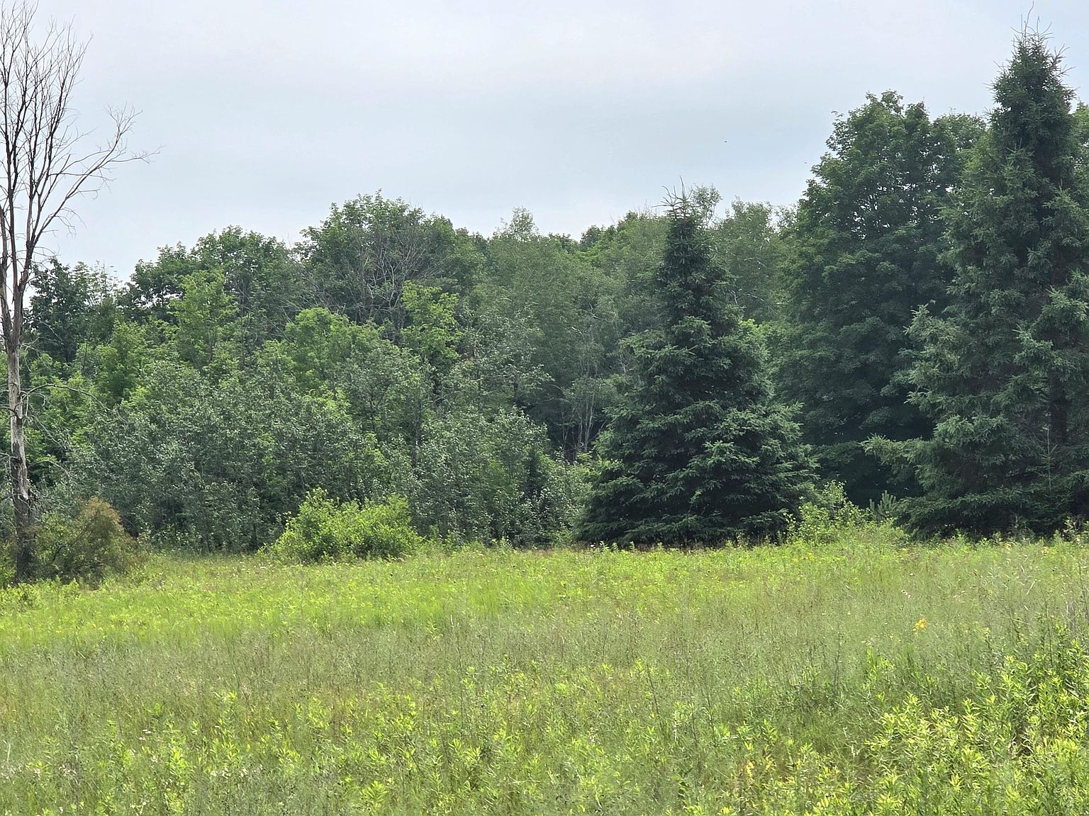 0 E M 48, Goetzville, MI 49736 | MLS #25-647 | Zillow