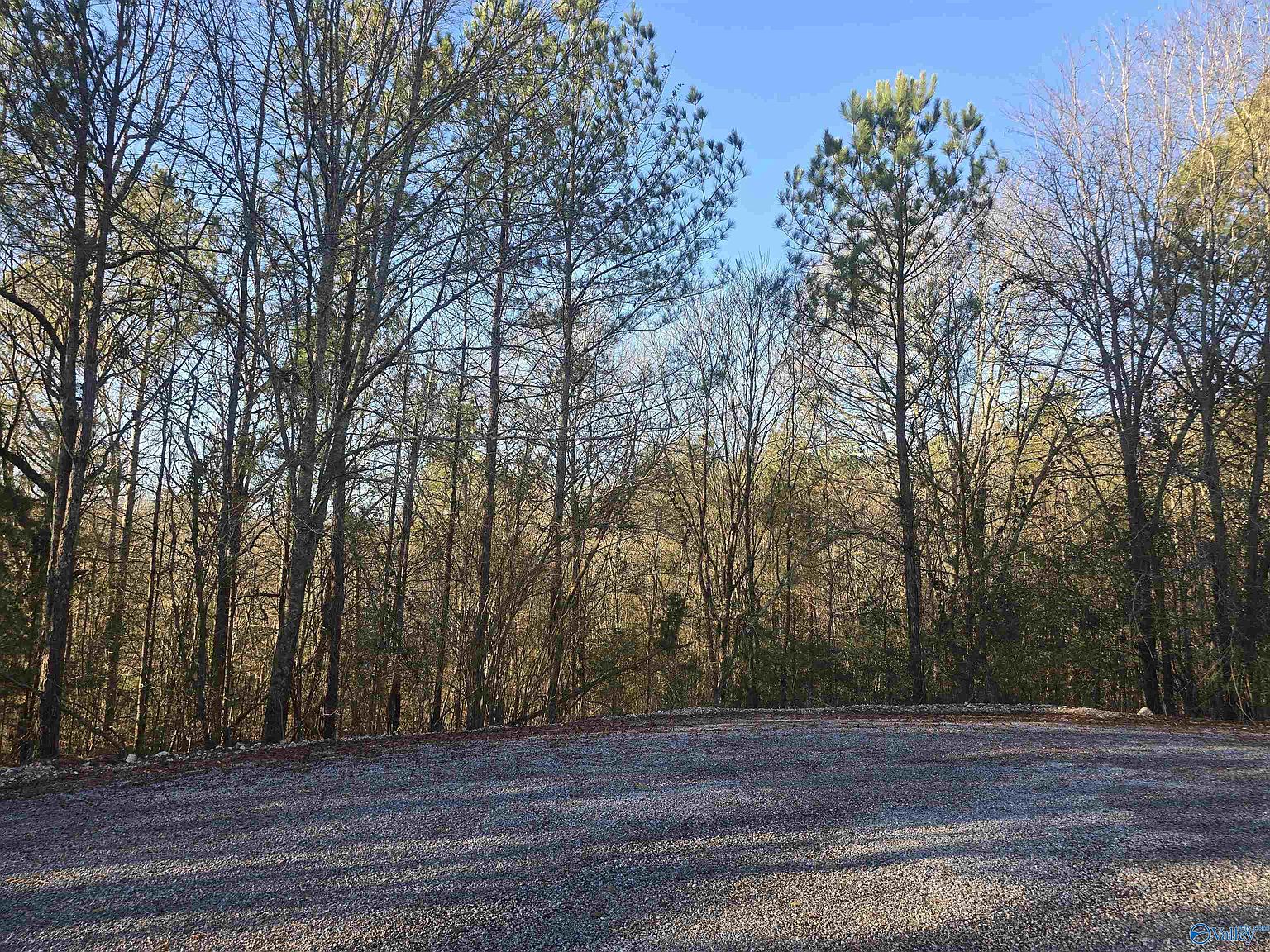 1-2 Gallant Cv #3, Gallant, AL 35972 | Zillow