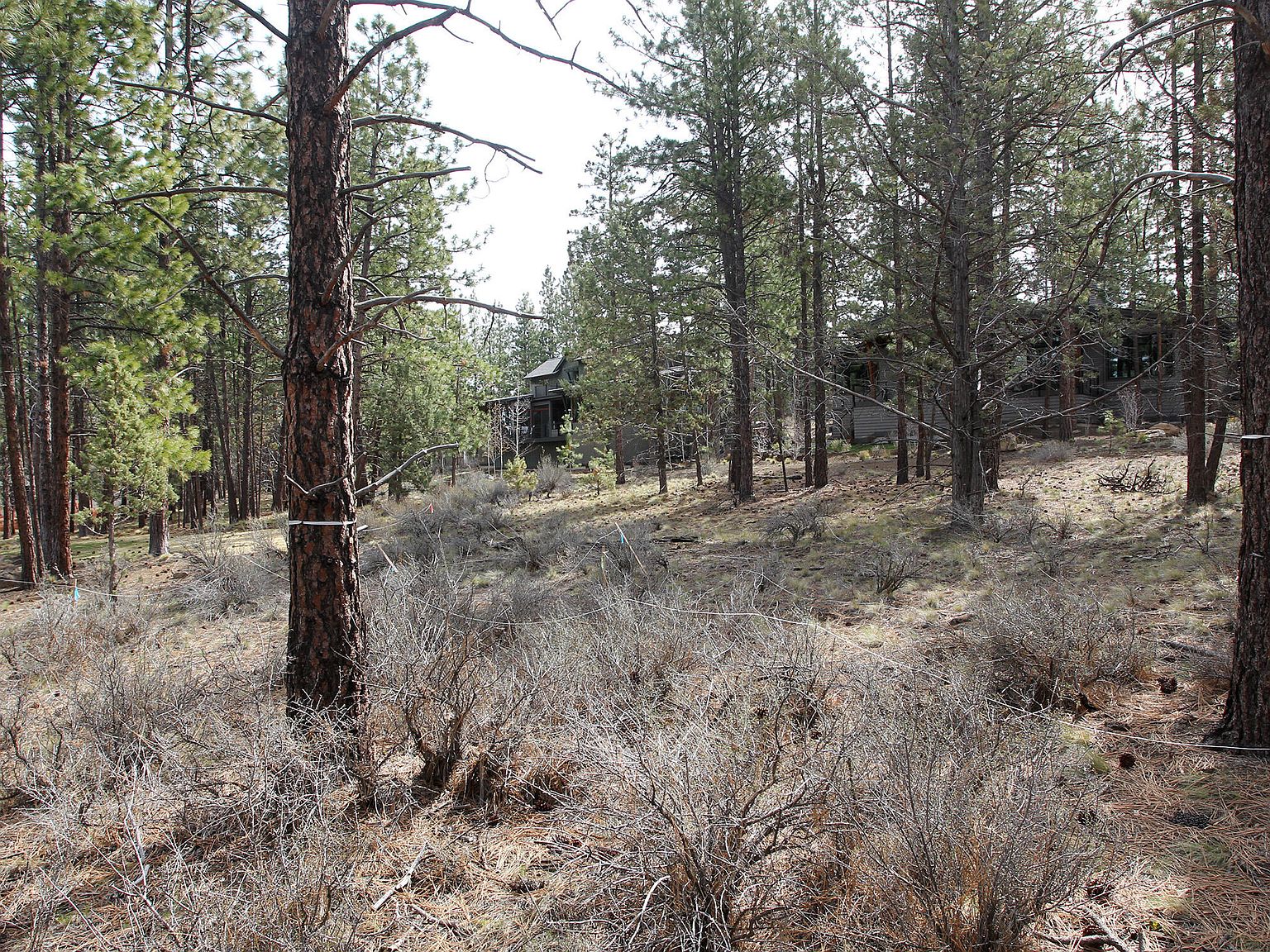 61452 Meeks Trl, Bend, OR 97702 | Zillow