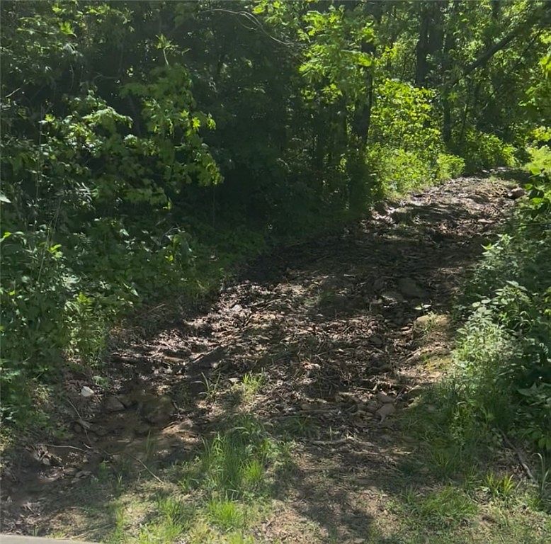 Madison #295, Elkins, AR 72727 | MLS #1307878 | Zillow