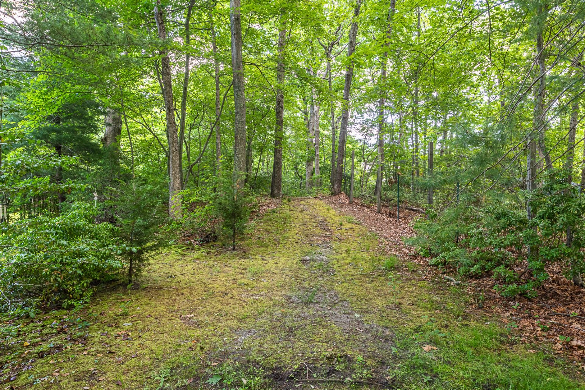 536 Pleasure Dr, Flanders, NY 11901 | Out East