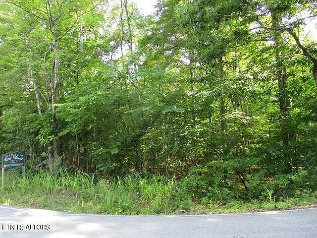 LOT 12 Red Cloud Rd, Ten Mile, TN 37880 | MLS #1305012 | Zillow
