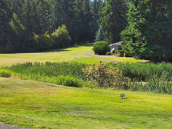 132 Hurricane Ridge Dr, Sequim, WA 98382 | Zillow