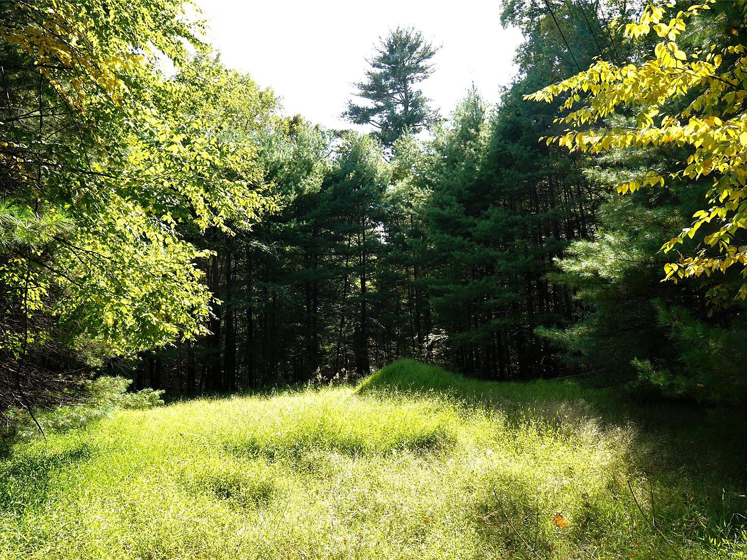 Lot 4 Hawk Ridge Court, Glen Spey, NY 12737 | Zillow
