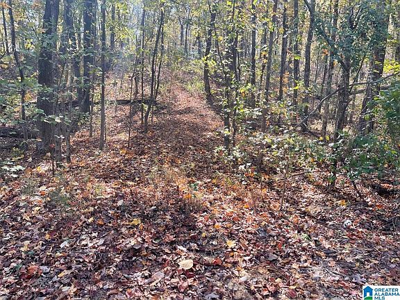 County Road 30 #1, Columbiana, AL 35051 | Zillow