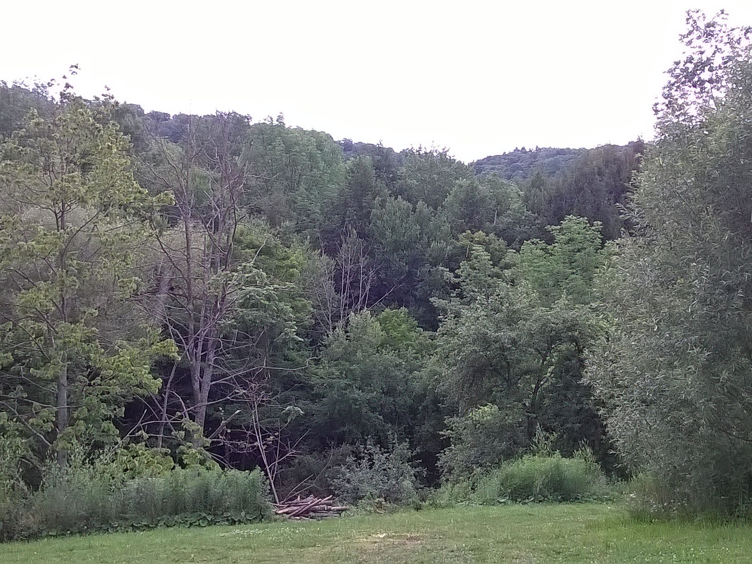 Long Rd, Scott, NY 13077 | Zillow