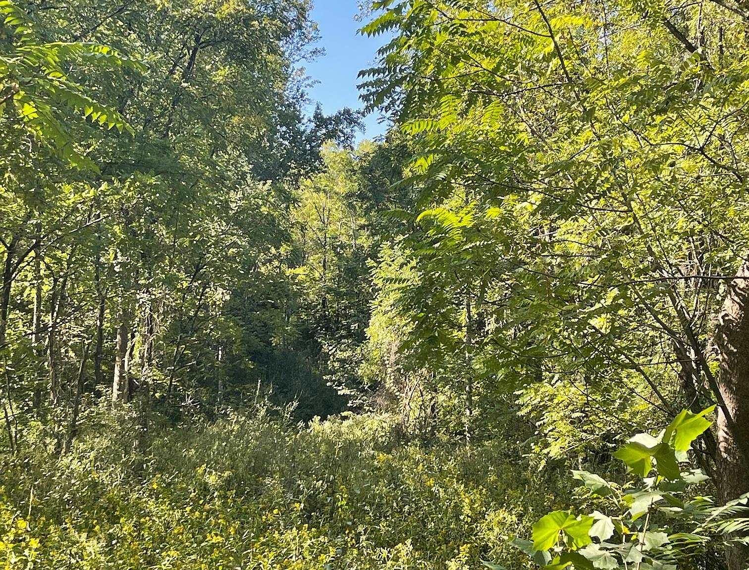 Stony Point Pass, Keswick, VA 22947 | Zillow