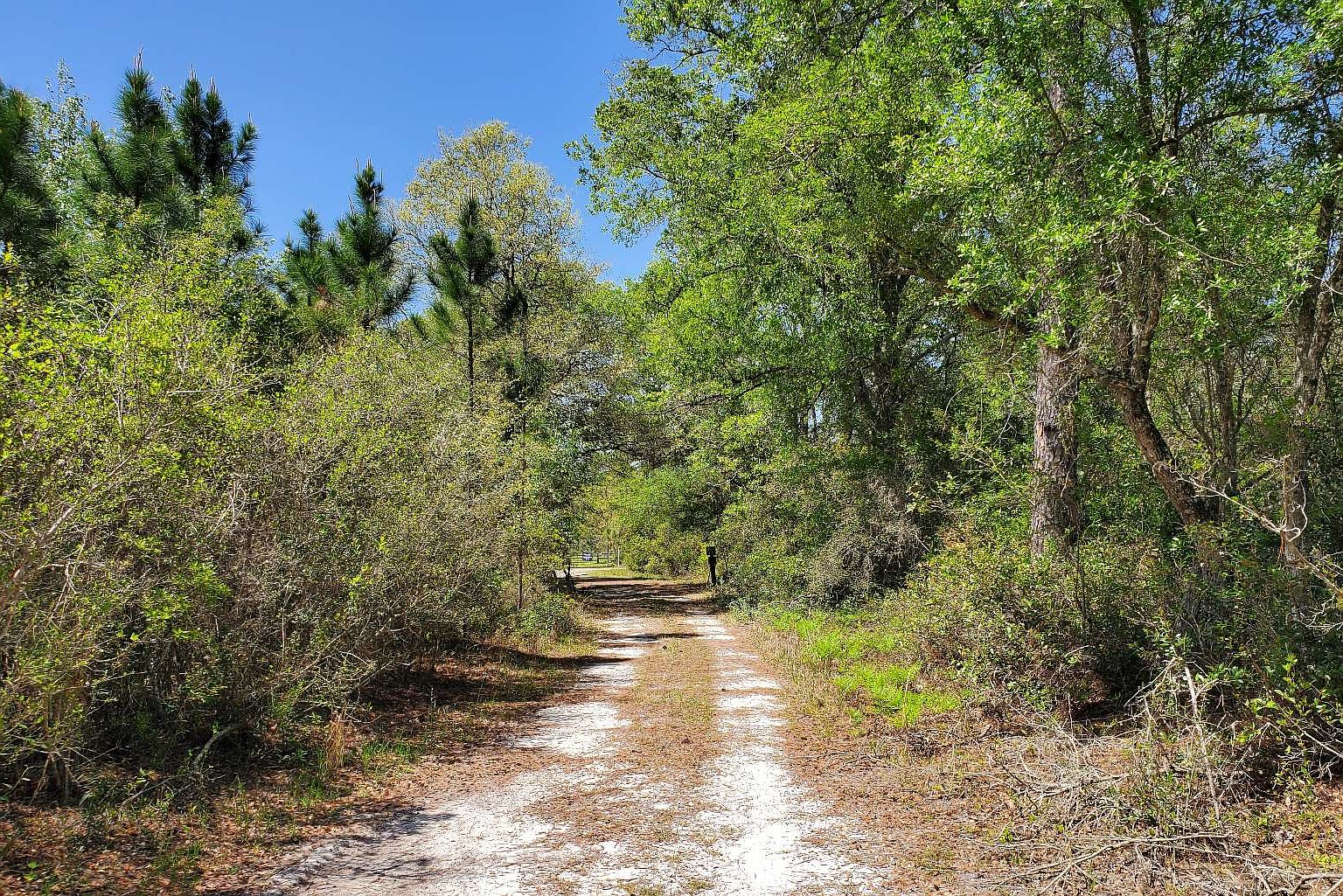 0 SW Wire Rd LOT 16, Lee, FL 32059 | Zillow