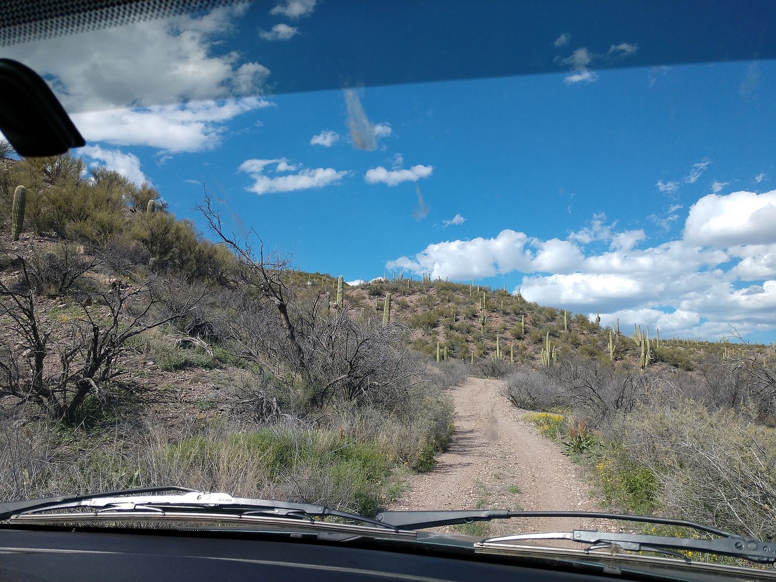 0 Canyon Rd, Cascabel Benson, AZ 85602 | Zillow