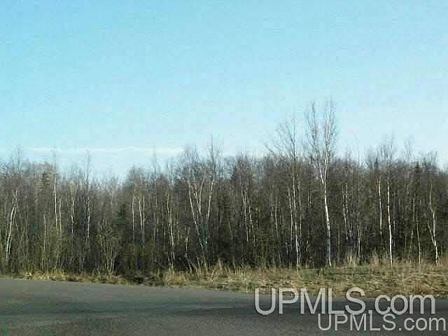 LOT 2 Airport Park Rd #CO-35B, Hancock, MI 49930 | MLS #50133021 | Zillow