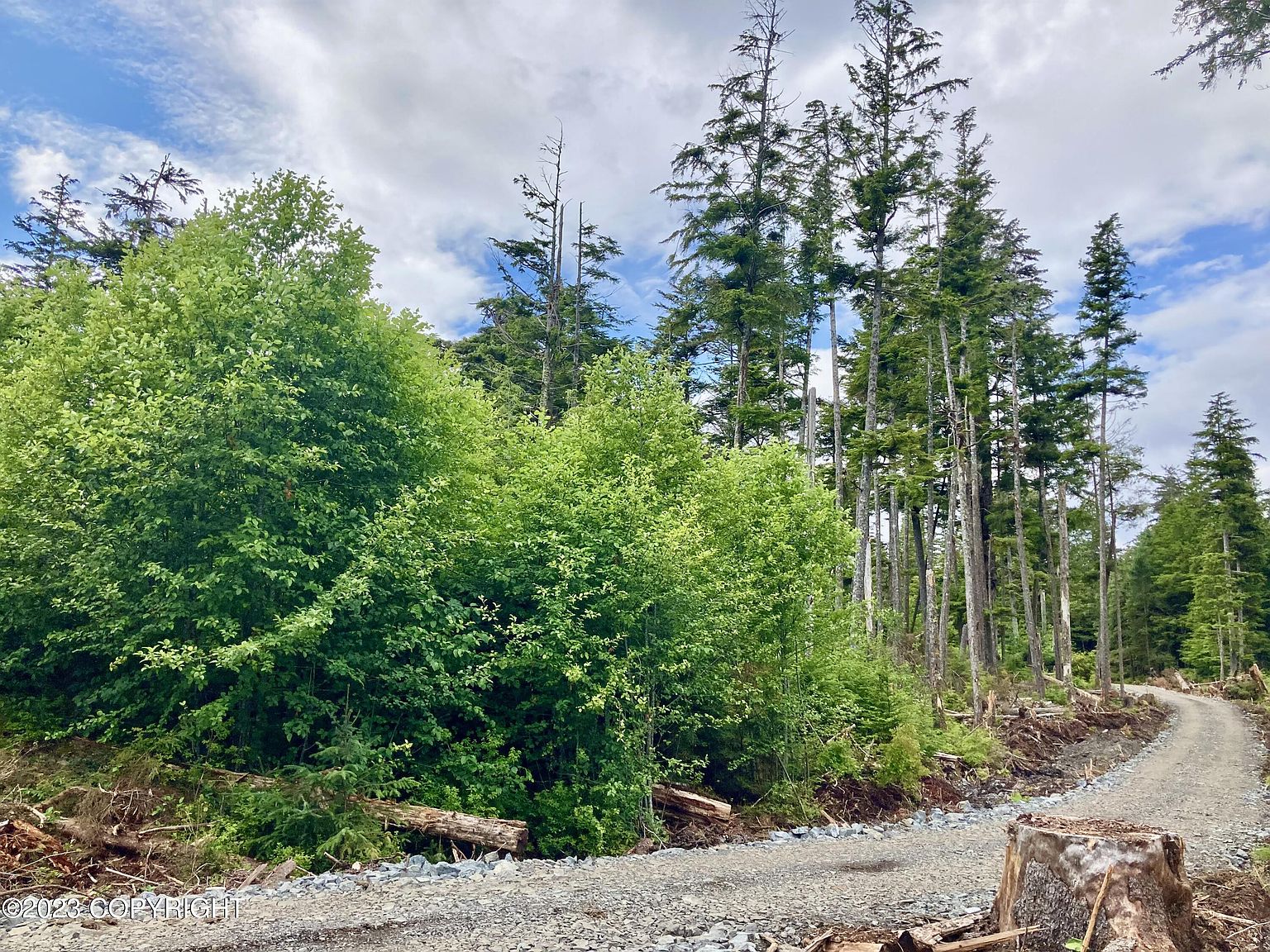 864 NE Cedar Tree Dr, Ketchikan, AK 99950 | MLS #23-9830 | Zillow