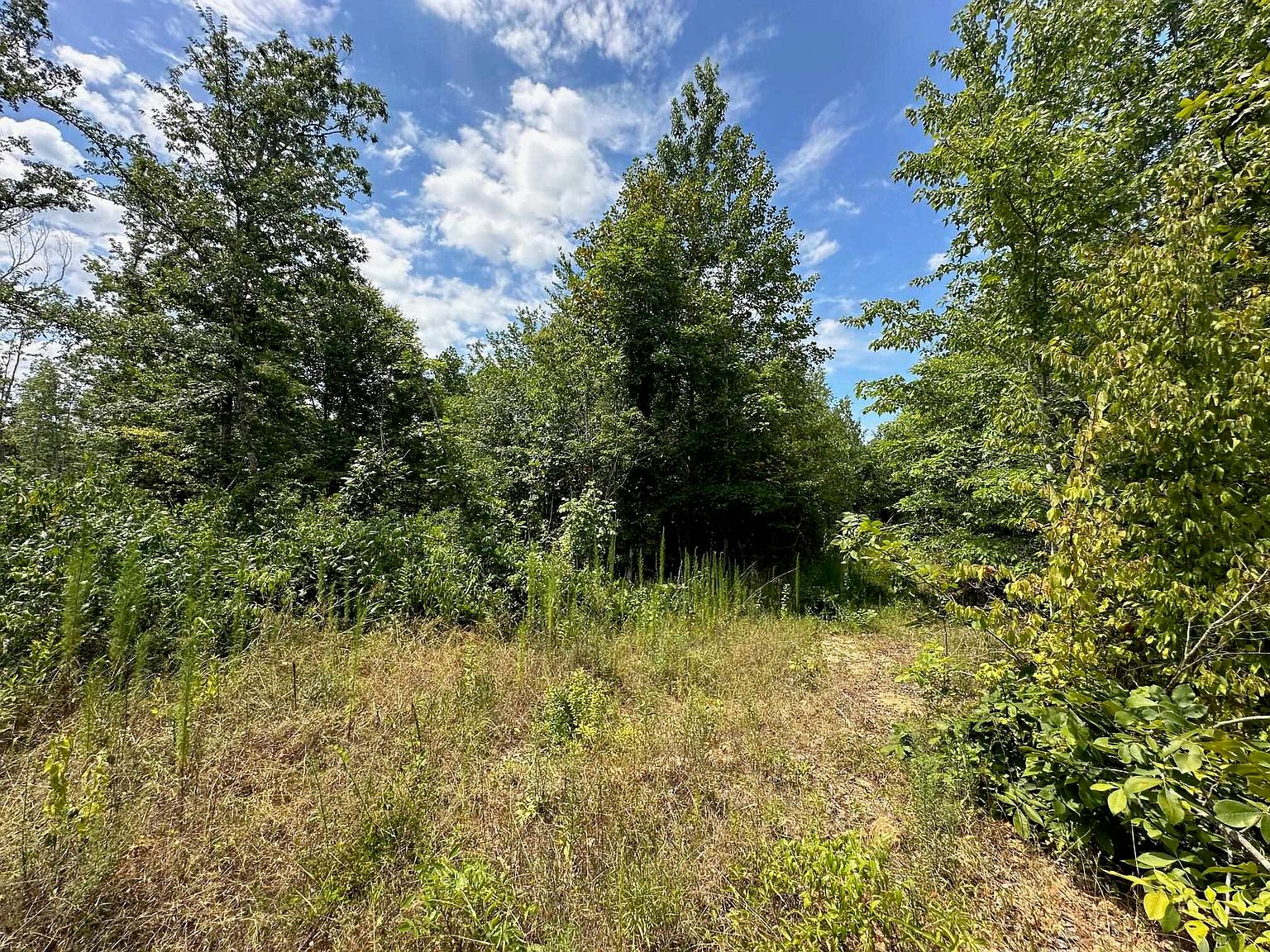 1 Pyburns Dr, Savannah, TN 38372 | Zillow