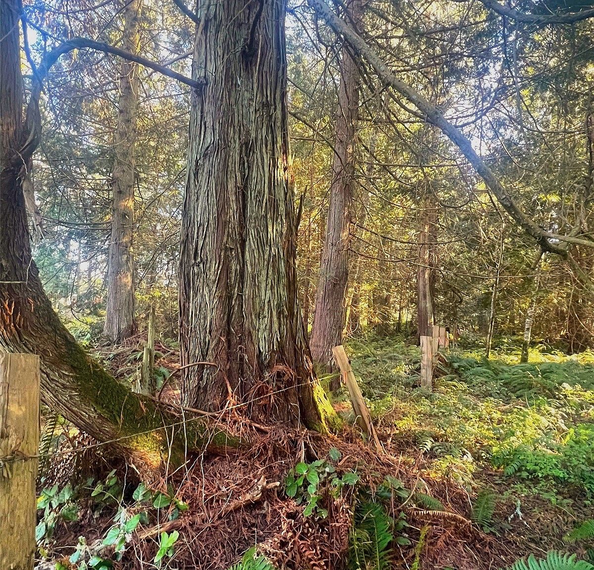 999 W Foster Road, Pt Hadlock, WA 98339 | Zillow