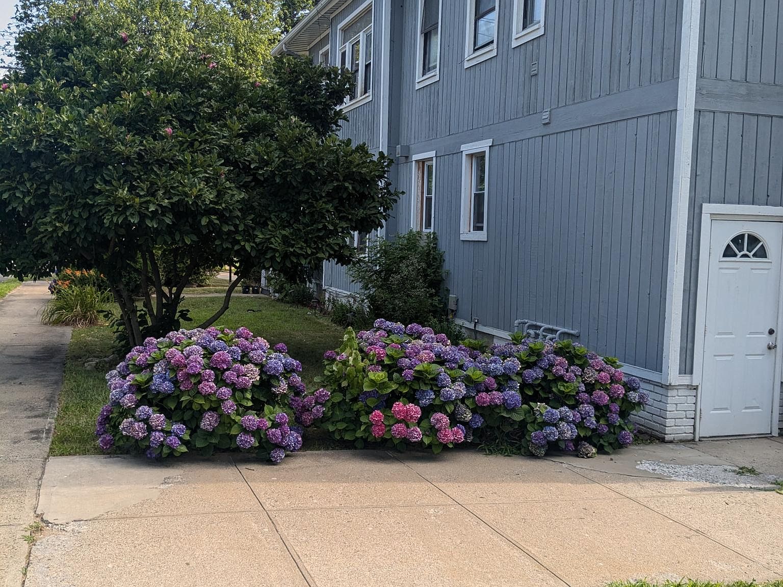 1700-1702 Boston Ave #3, Bridgeport, CT 06610 | Zillow