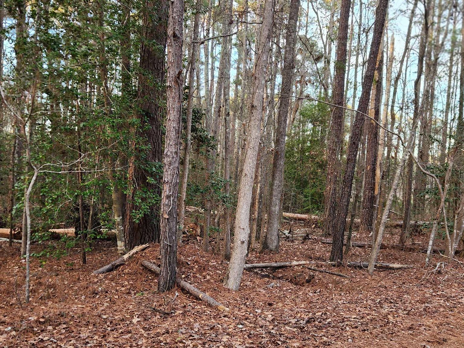 113 Buck Dr, Hopkins, SC 29061 | MLS #603331 | Zillow